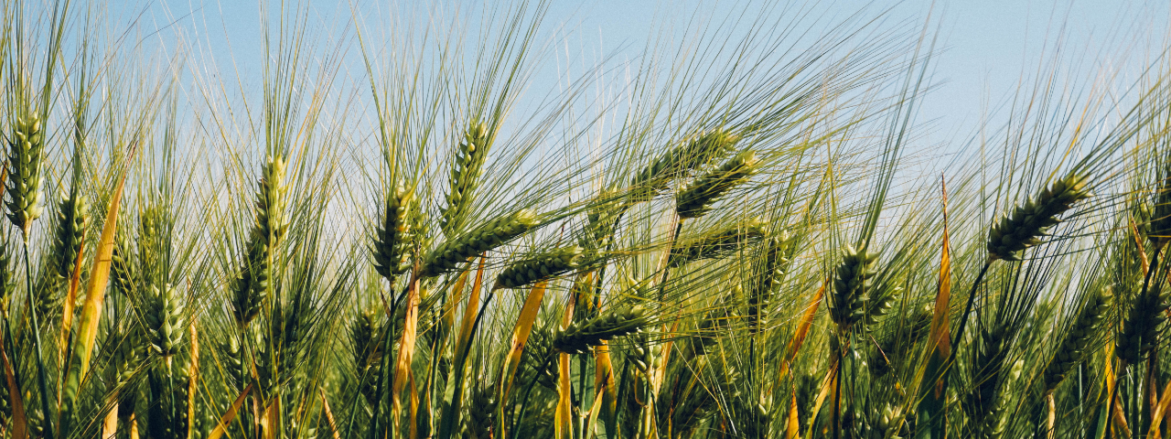 Caldic APAC Announces Strategic Partnership with Natara Global to ...